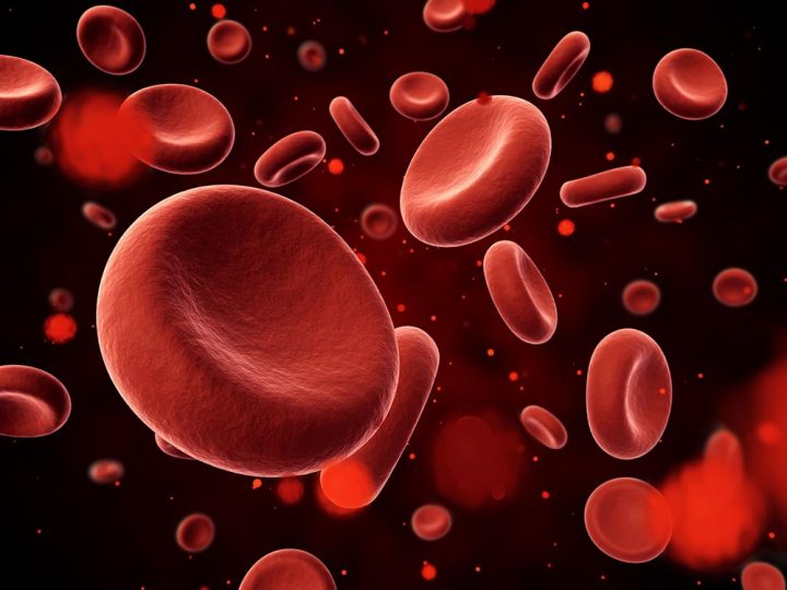 Anabolic Steroids And Red Blood Cells IronMag Bodybuilding Blog Anabolic Steroids And Red Blood Cells IronMag Bodybuilding Blog
