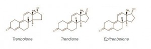 Pro-hormone version of Anabolic Steroid Trenbolone – IronMag ...