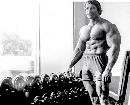 The Evolution of Dietary Fat in Bodybuilding Nutrition – Part 2 ...