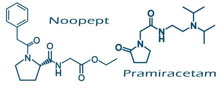 Piracetam and the Racetam Family – IronMag Bodybuilding & Fitness Blog