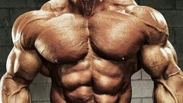 Which Retired Bodybuilder Should Make a Comeback Next? – IronMag ...