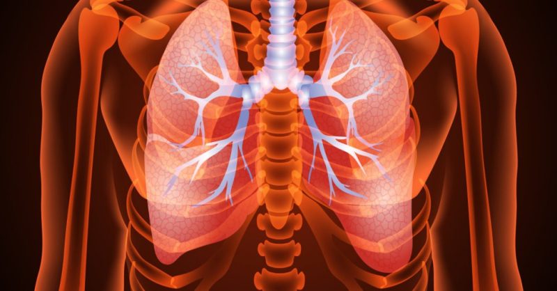The Easy Way to Reduce Respiratory Issues and Breathe Better – IronMag ...