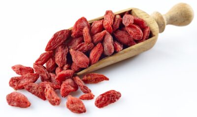 The Importance and Health Benefits of Goji Berry – IronMag Bodybuilding ...