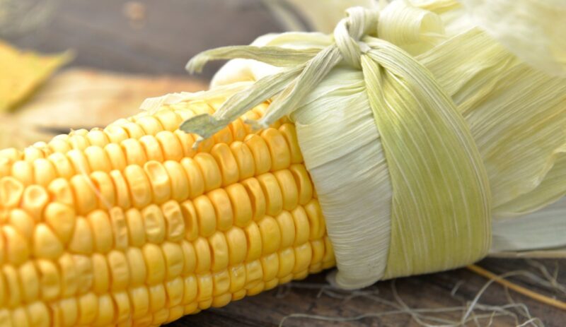 5 Health Benefits of Corn Silk You’ve Never Heard Of – IronMag ...