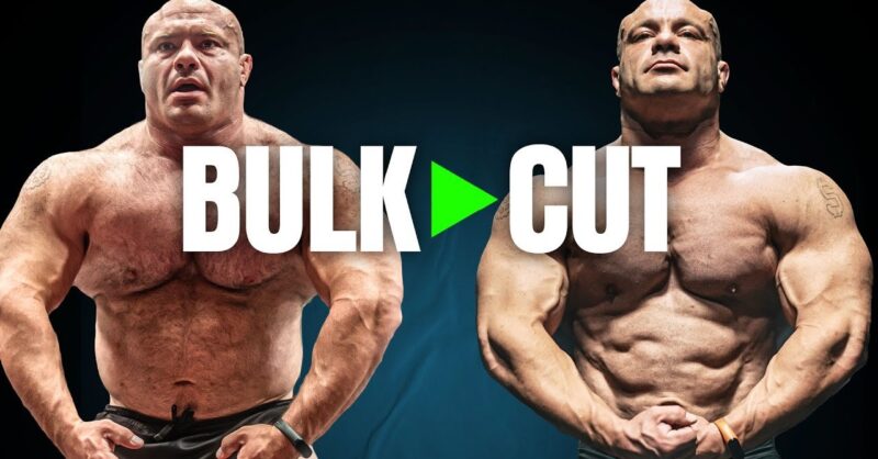 Cut or Bulk: How to Decide Which One is Right for You? – IronMag ...