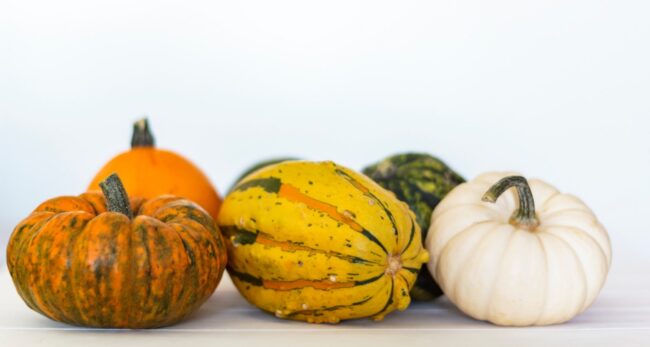 10 Squash Varieties You Need to Try – IronMag Bodybuilding & Fitness Blog